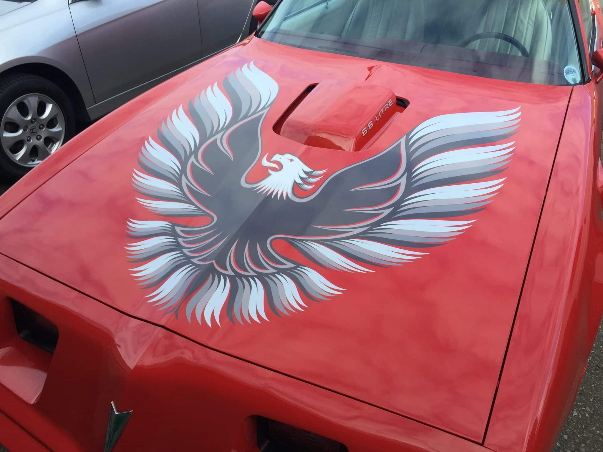 Pontiac Firebird Graphics Restoration Project