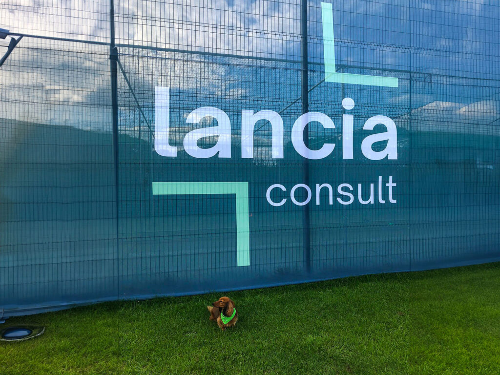 Mesh Banners | Custom Mesh Banners | Bannerworld