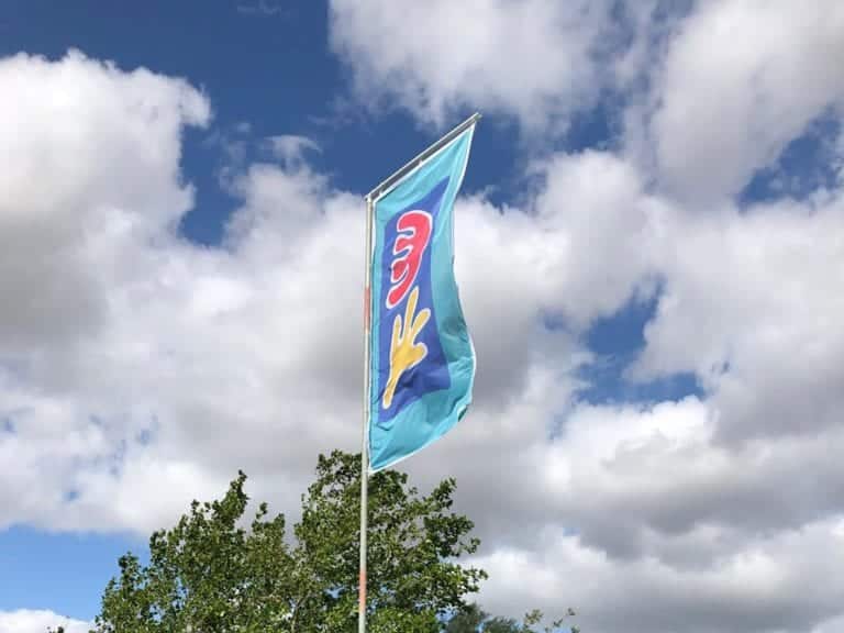 Festival Flags | Custom Made Any Size | Fast Delivery