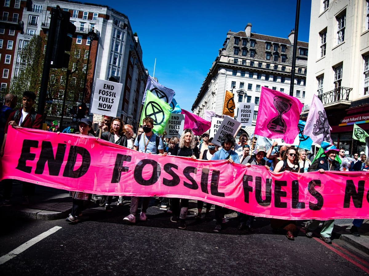 Protest Banners: Custom, Vibrant Banners from Banner World